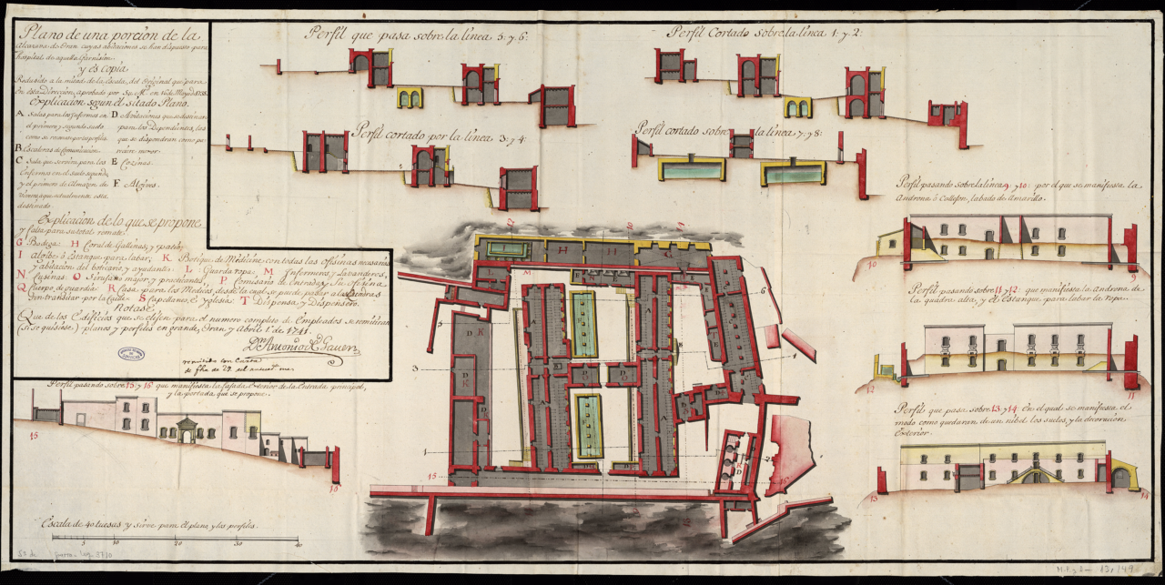 Halimède – Corpus Visuels InVisu